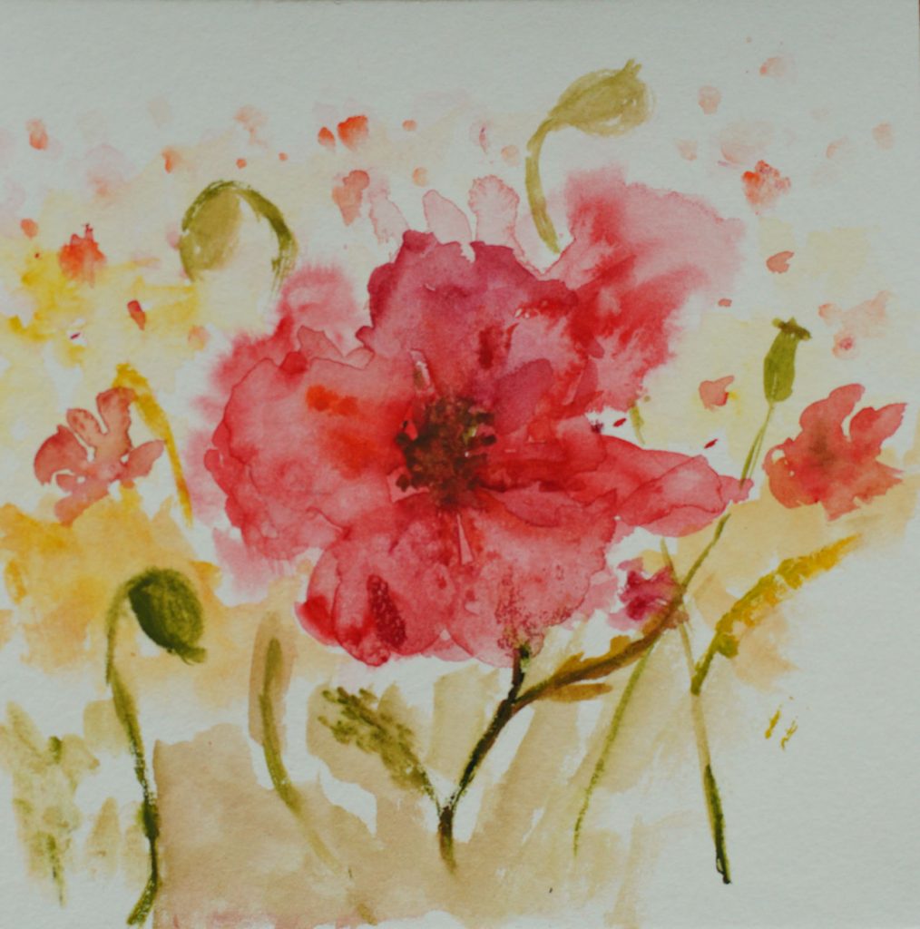 A quick watercolour poppy – Victoria Clare's Art